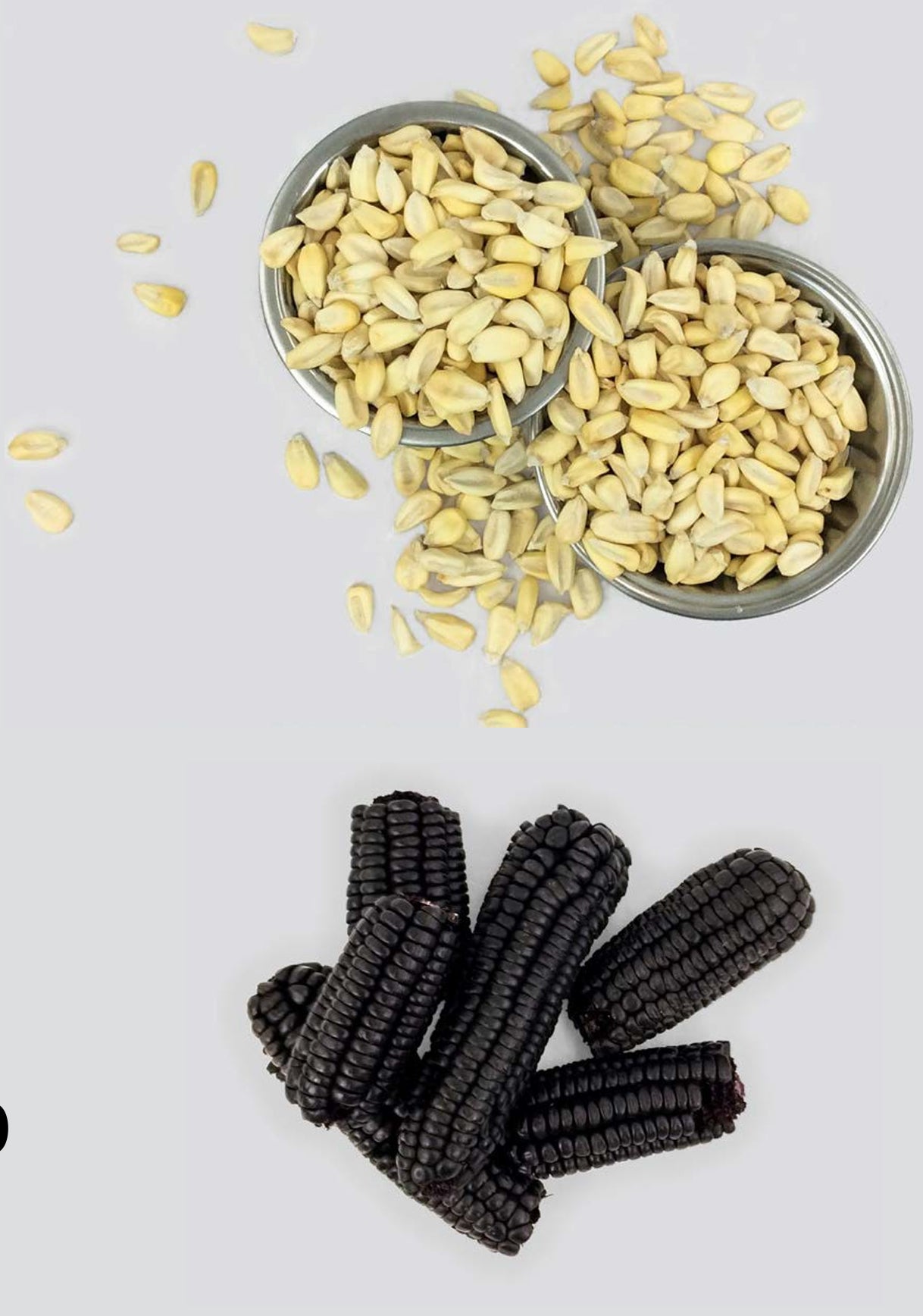 MENESTRAS & GRANOS – GENESIS FOODS LLC