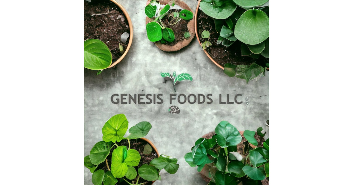 PRODUCTOS PERUANOS – GENESIS FOODS LLC